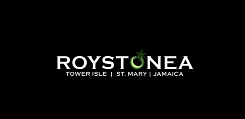 Roystonea Jamaica